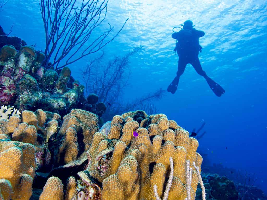 New diving decompression algorithm l Scuba