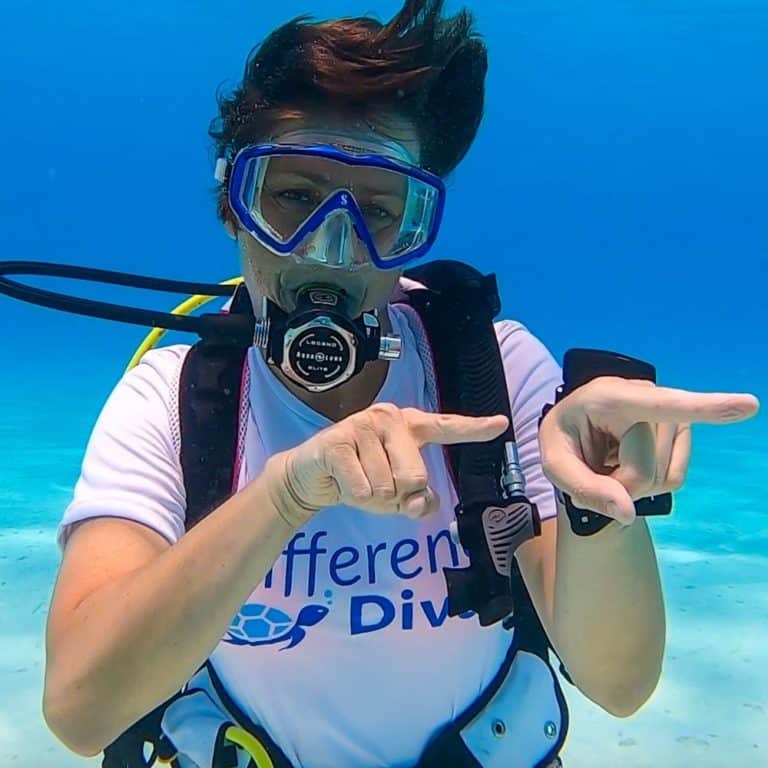 Les signes de plongée pour mieux communiquer | Different Dive