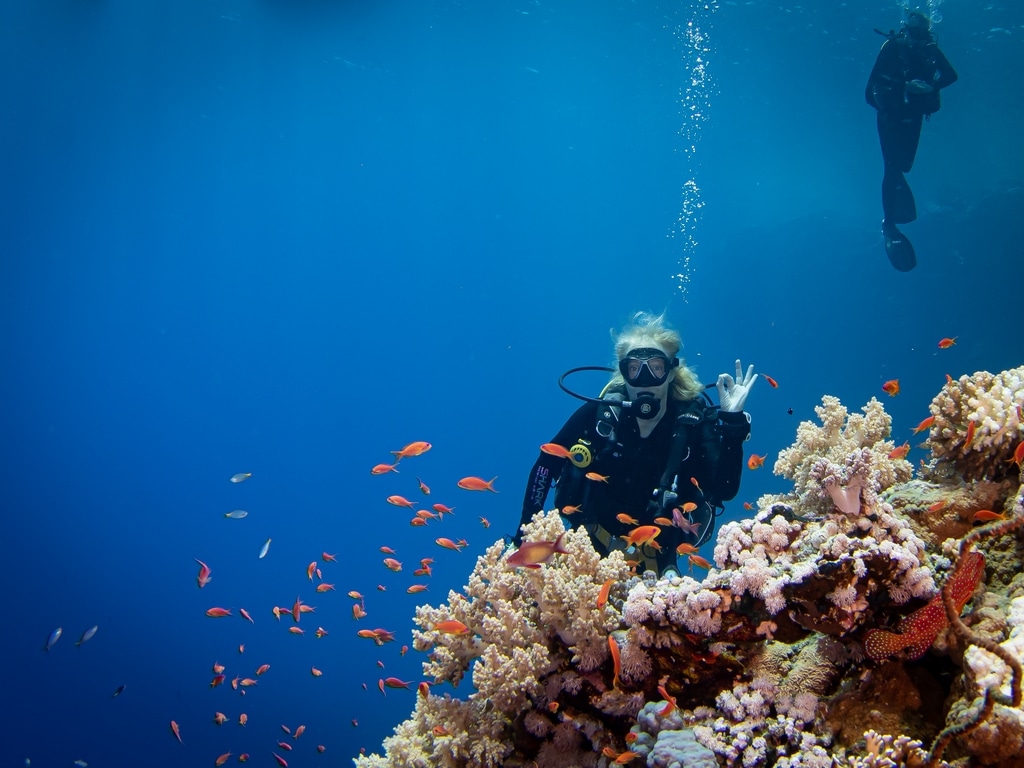 Meilleur plongeur : 9 compétences pour y arriver | Different Dive