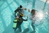 Commencer la plongée sous-marine : le guide complet