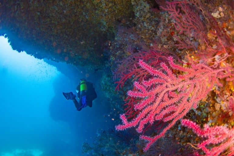 Plonger en Algérie : les plus beaux sites de Méditerranée ? | Different ...